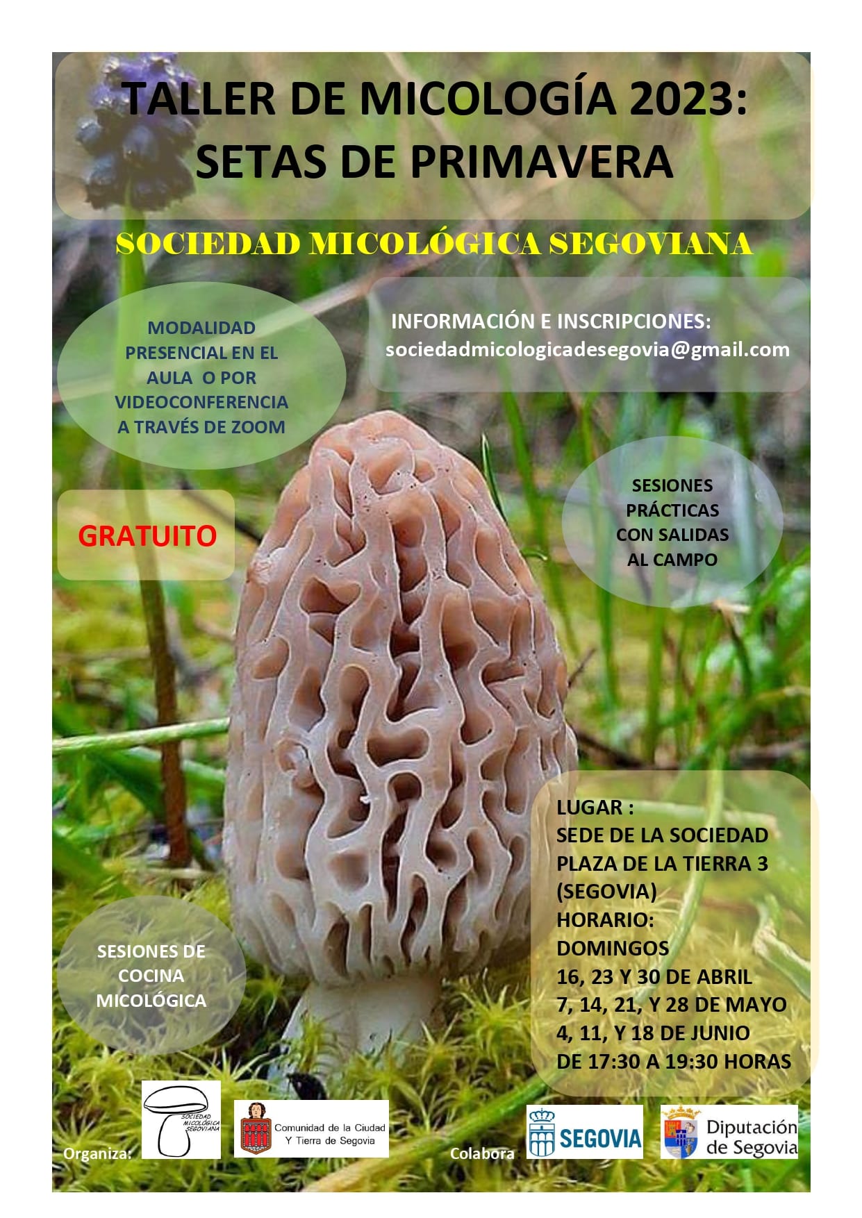 Taller de Micología 2023, Setas de Primavera | Comunidad de la Ciudad y ...